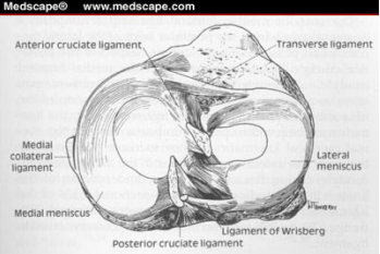 ++VITAE Academia Biómedica Digital