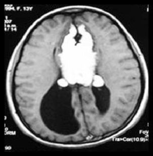 ++VITAE Academia Biómedica Digital