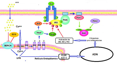 ++VITAE Academia Biómedica Digital
